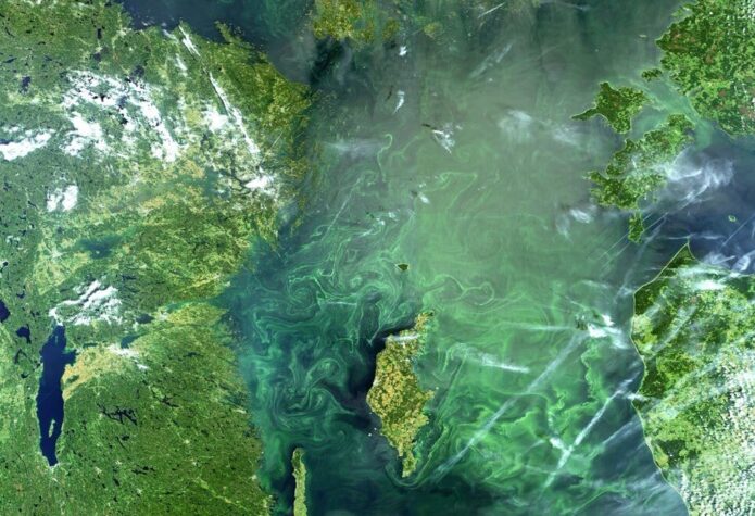 Baltic Sea Action Plan Fund supports eight new projects, benefiting the ...