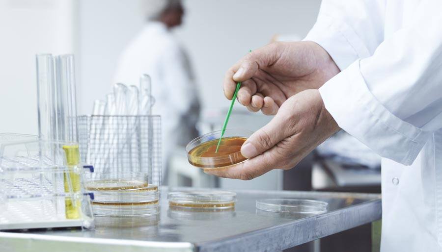 NIB and Chr. Hansen continue cooperation in bioscience research ...